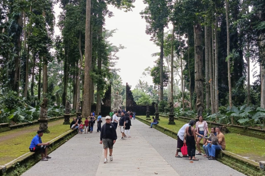Saat Libur Panjang Akhir Pekan, Kunjungan Wisatawan Ke Alas Pala Sangeh ...