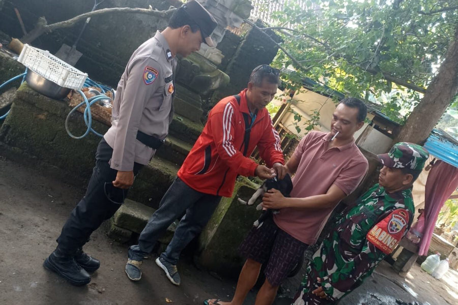 Distan Gianyar Vaksinasi 115 Hewan Peliharaan Di Pejeng Kawan 1 ...