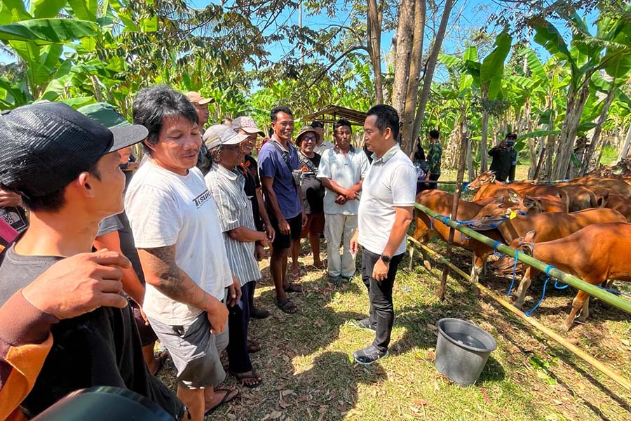 Jembrana Targetkan Jadi Sentra Ternak Kambing di Bali | BALIPOST.com