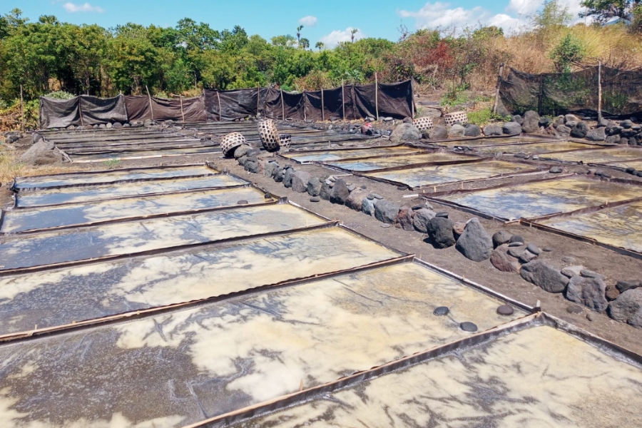 Masuki Musim Kemarau, Petani Baturinggit Mulai Produksi Garam 1 ...