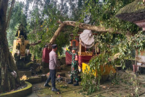 Ranting Pohon Beringin Patah Timpa Pelinggih Pura Dalem Pingit ...